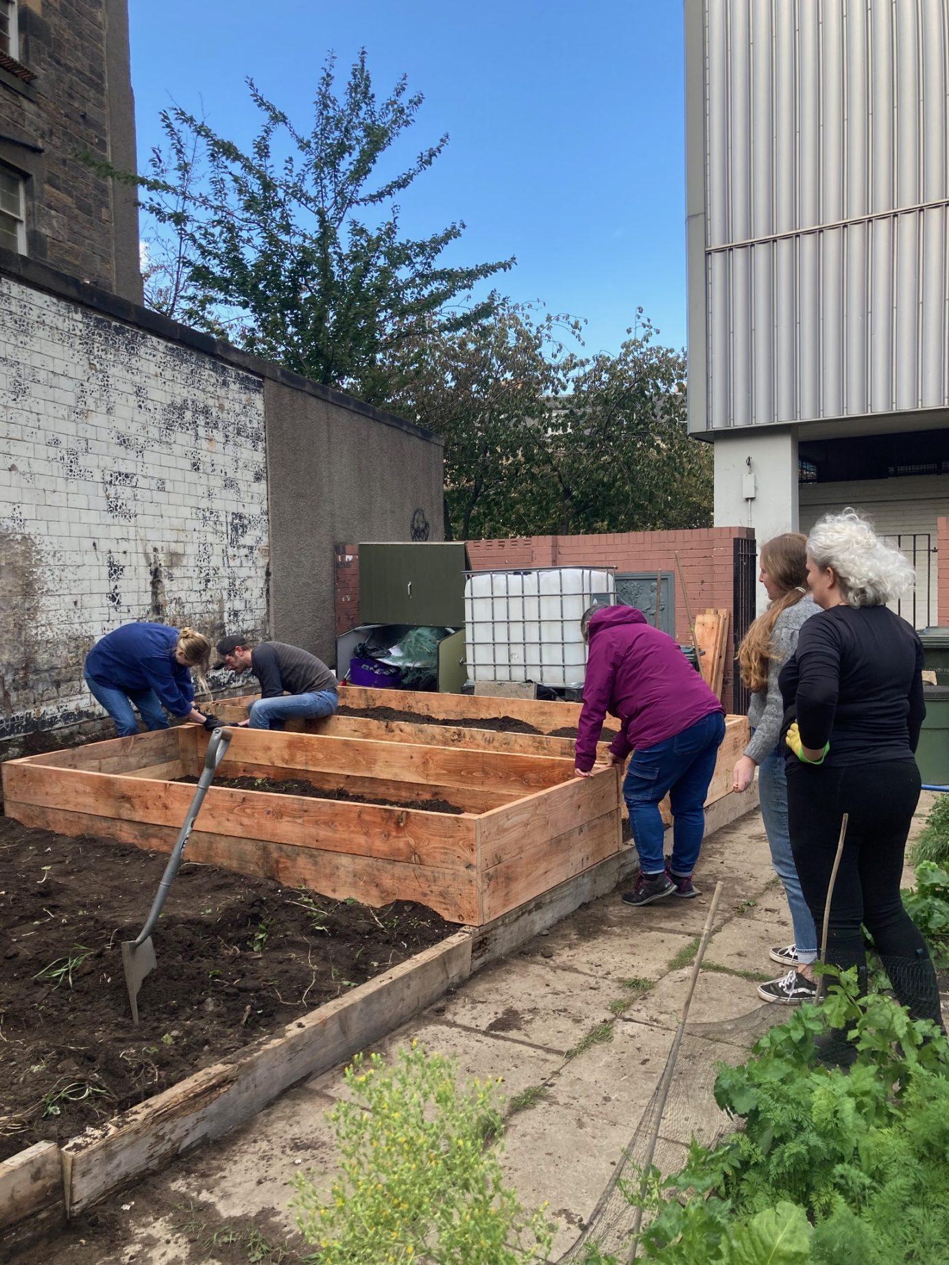 Leith’s Citadel Gardeners Are Transforming Their Growing Space ...