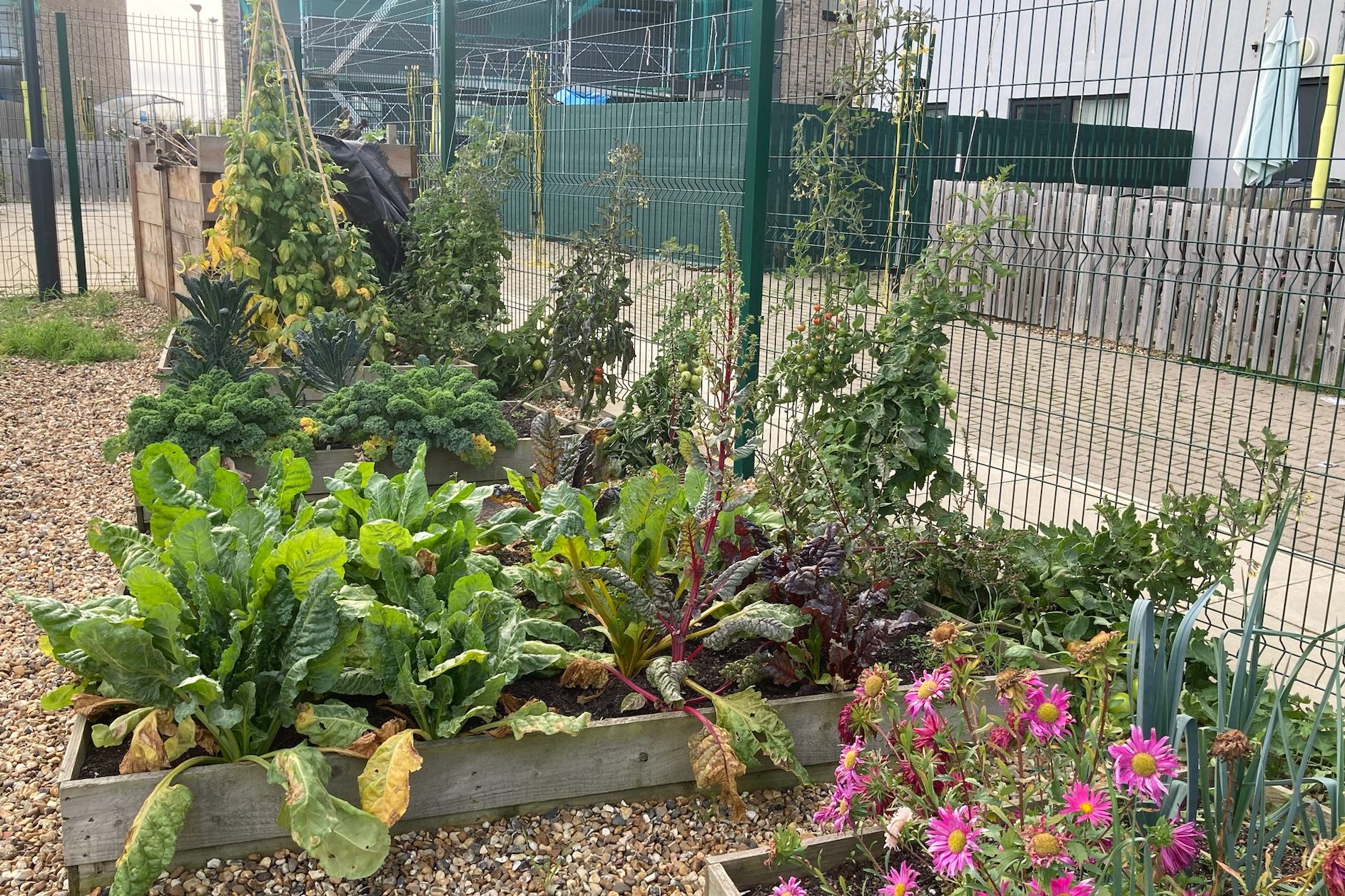 Greendykes Community Backgreen - Growing Together